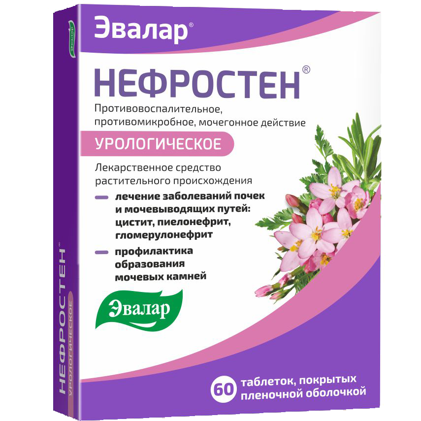 Нефростен таблетки покрыт.плен.об., 60 шт, Эвалар - купить по цене 369 ...